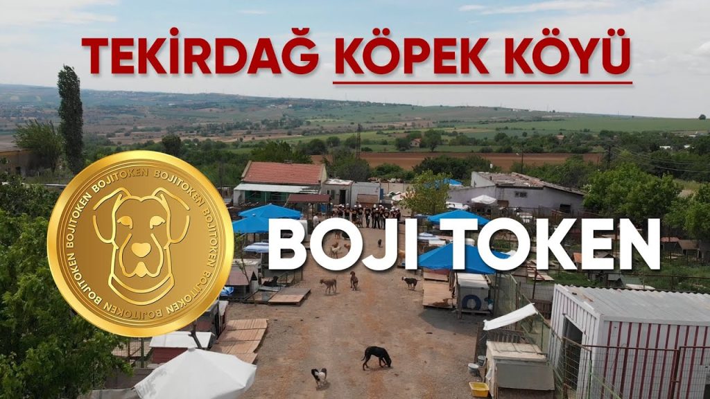 Web3 Token | Teknoloji